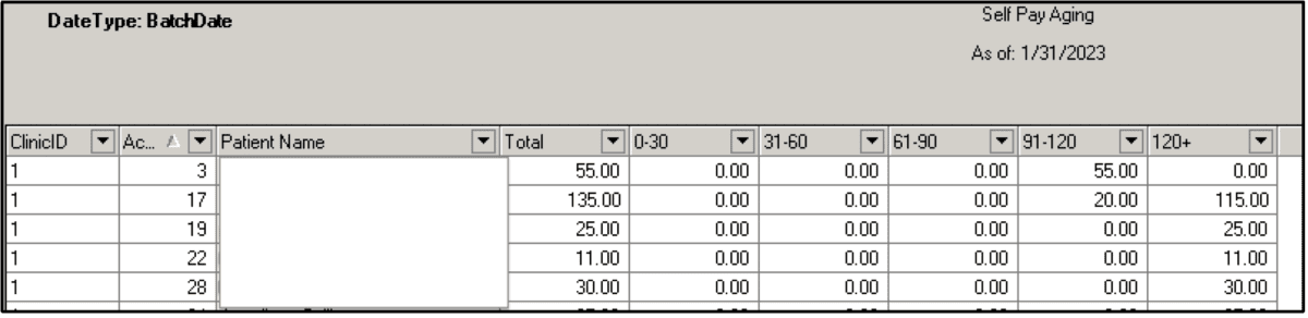 Systems4PT’s Guide to Patient Billing and Collections – Part Four: Self ...